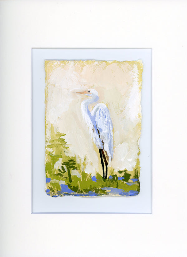 Cece a Great White Egret - Amanda Wathen